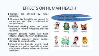 Water pollution | PPTX