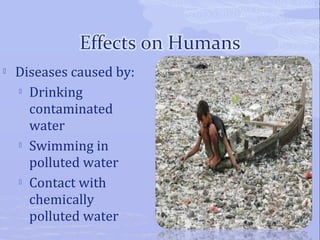 Water pollution | PPT
