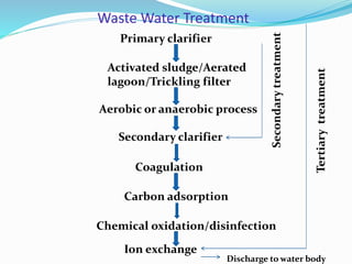 Water Pollution (Environmental Science) | PPTX