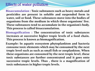 Water Pollution (Environmental Science) | PPTX