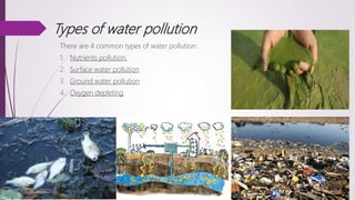 Water pollution | PPTX