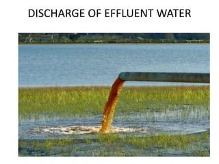 Water pollution | PPTX