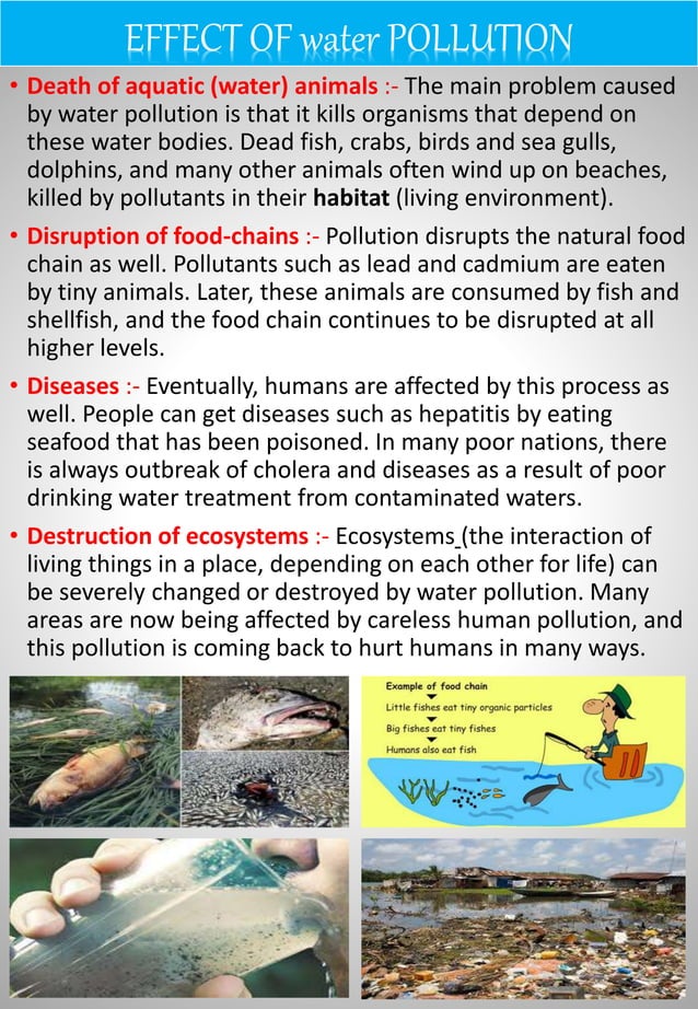 Water pollution ppt | PPTX | Indoor Environmental Quality | Home & Garden