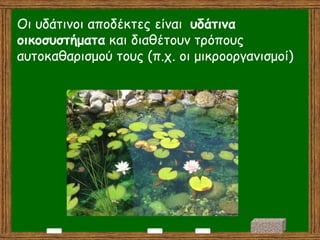 Ρύπανση του νερού | PPT
