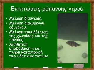 Ρύπανση του νερού | PPT