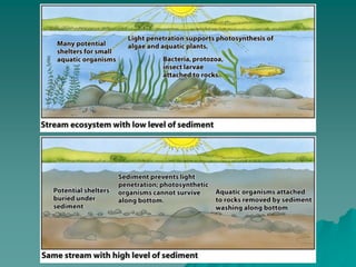 Water pollution | PPT