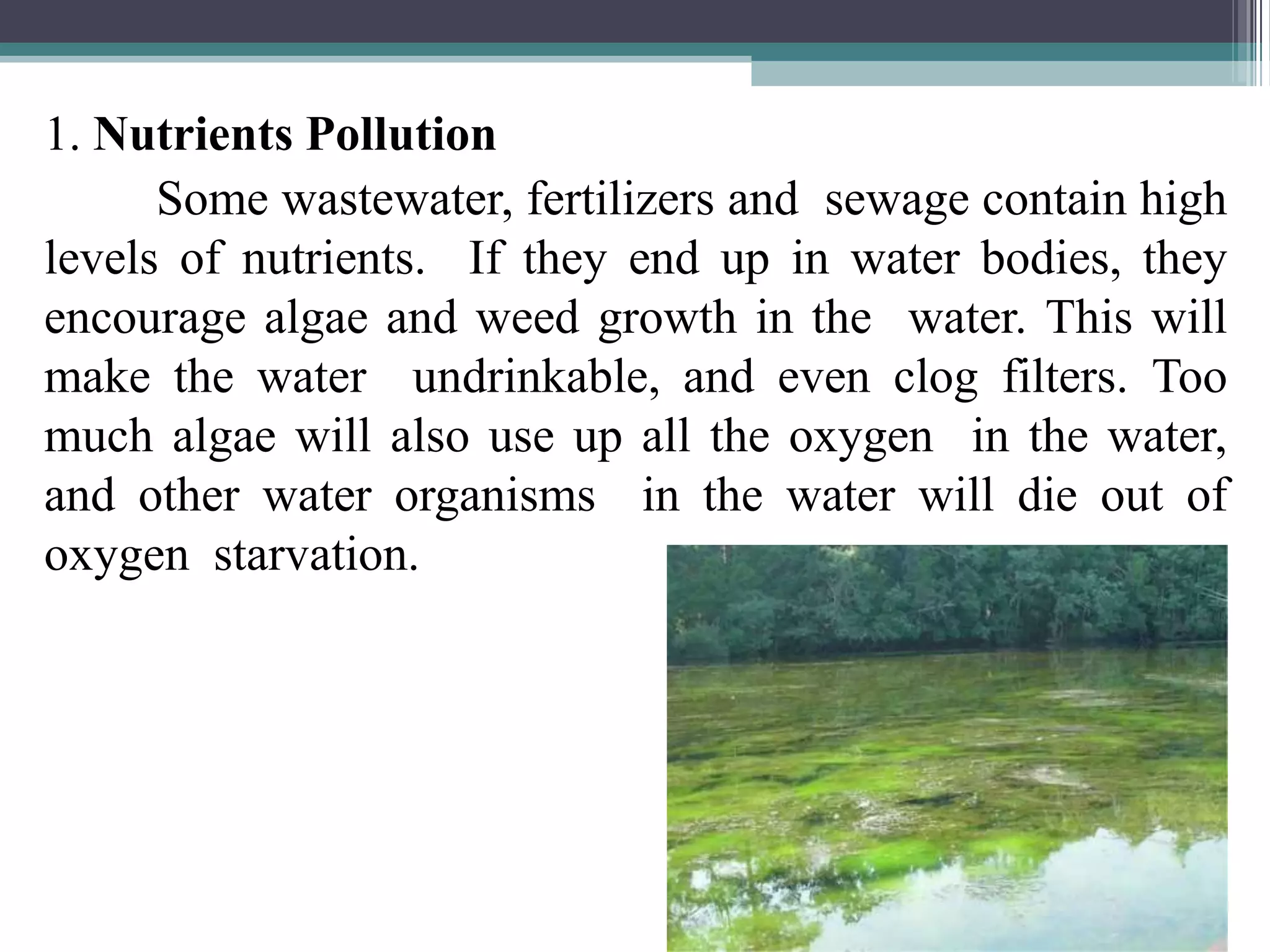 Water pollution- Sources and Causes | PPTX