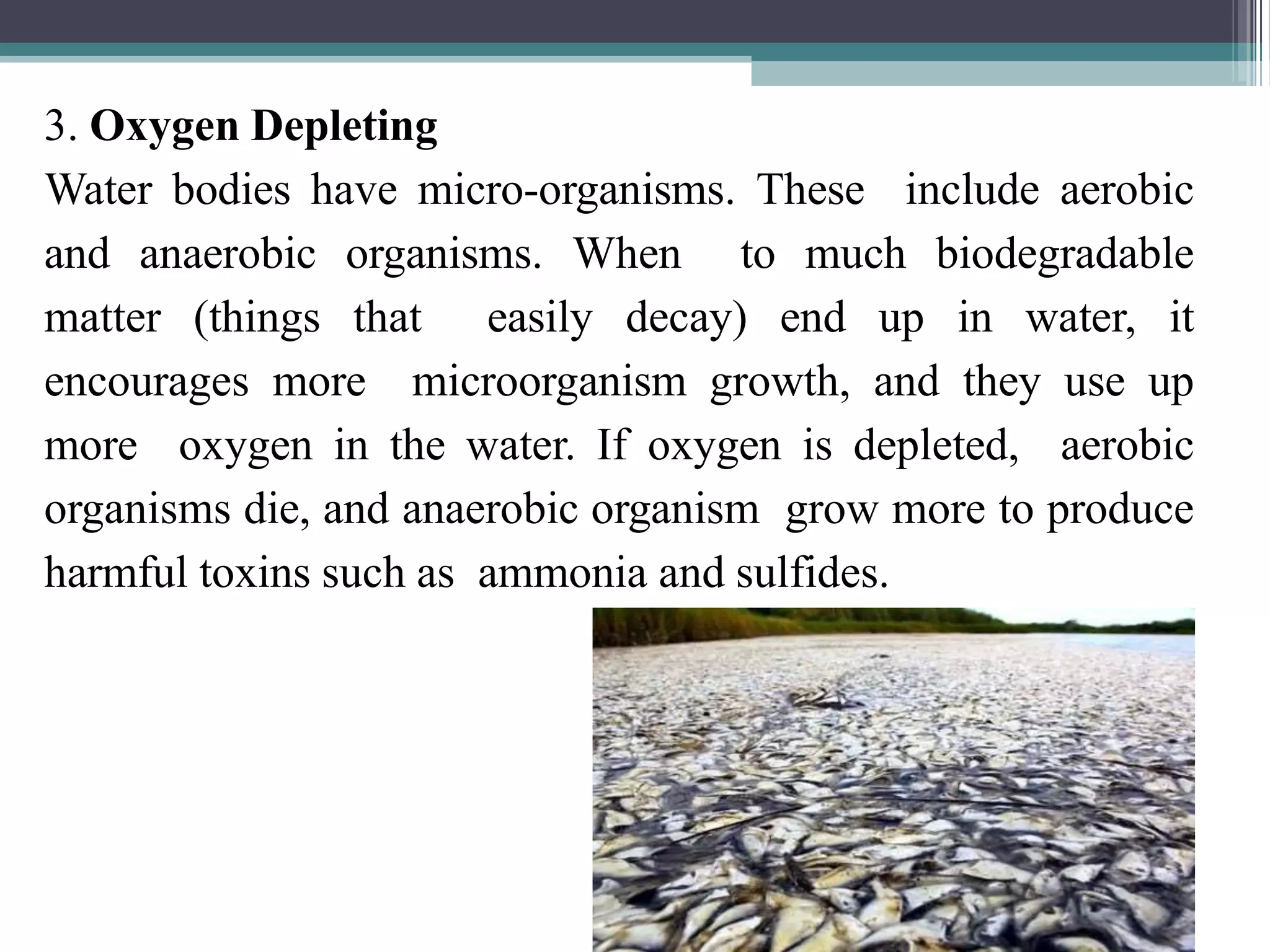 Water pollution- Sources and Causes | PPTX