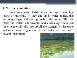 Water pollution- Sources and Causes | PPTX