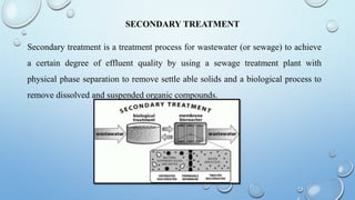Water pollution | PPTX