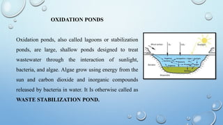 Water pollution | PPTX