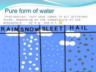 Water pollution | PDF