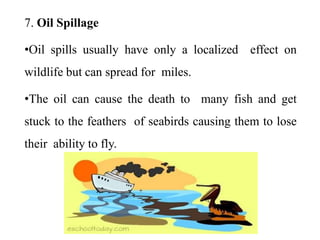 waterpollution.ppt