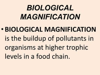 WATER POLLUTION.pptx