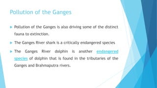 Water Pollution.pptx