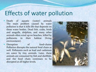 Water Pollution.pptx