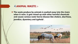WATER POLLUTION ,CAUSES AND EFFECT AND PREVENTION.pptx