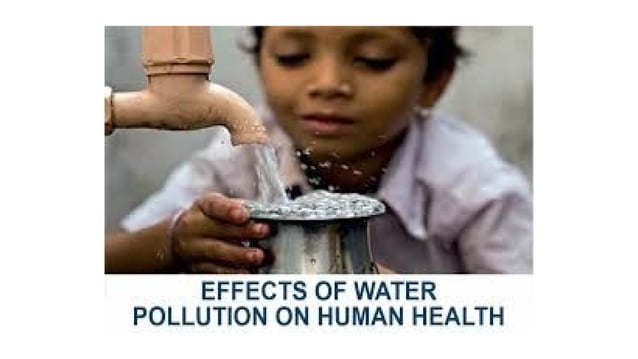 Combating Water Pollution: A Global Challenge | PPTX | Environmental ...