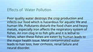 Combating Water Pollution: A Global Challenge | PPTX