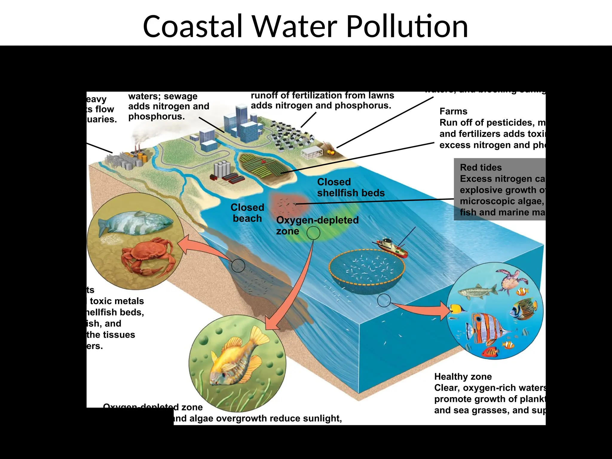 Water pollution, methods and strategies of purification | PPT