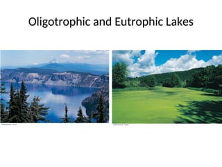 Water pollution, methods and strategies of purification | PPT
