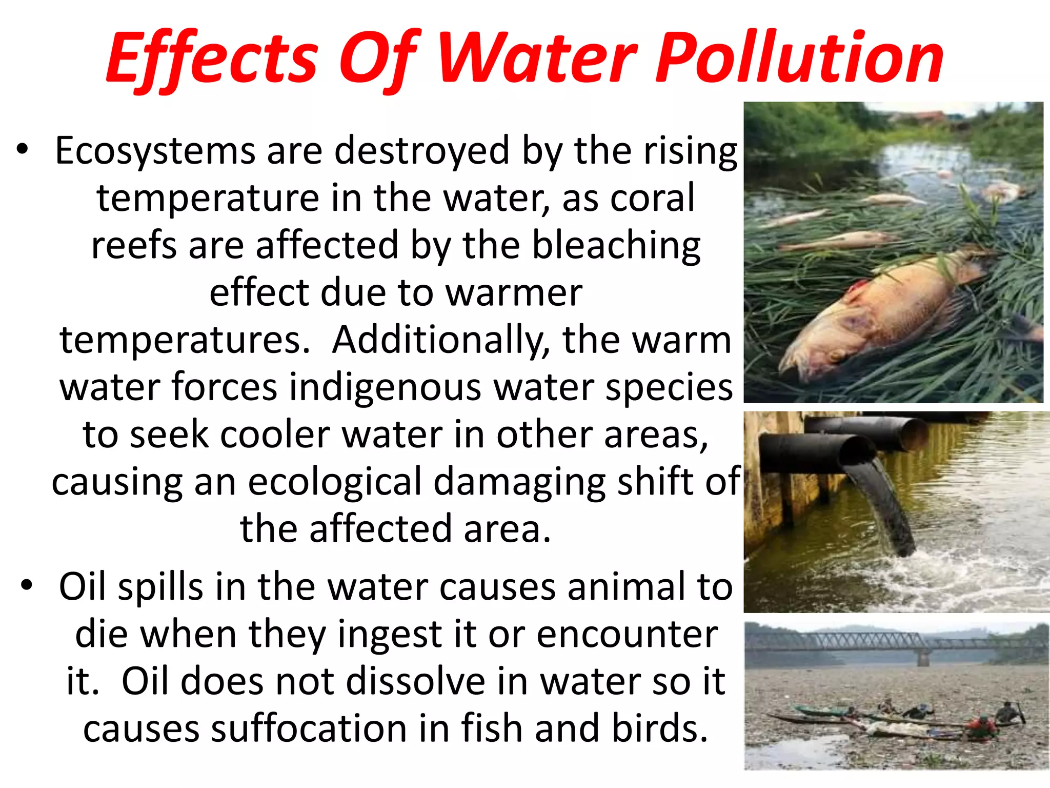 Water pollution - causes, effect and control.pdf