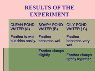 Water pollution p6 elearning 2013 (haze) | PPT