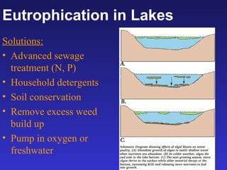 Water pollution | PPT