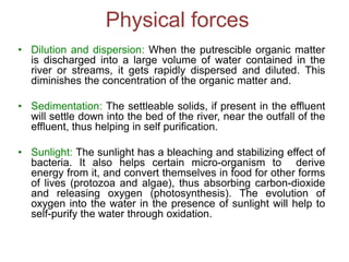 Water Pollution (1).pdf