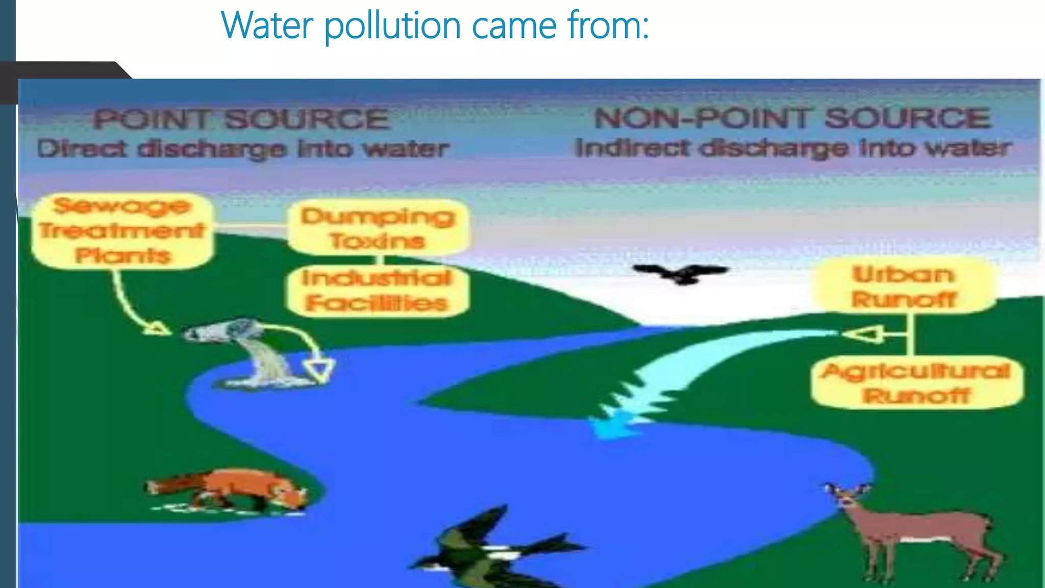 Water pollution | PPTX
