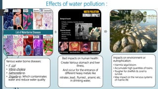 Water pollution | PPT