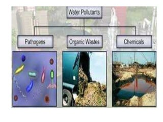 water pollution 2.pptx