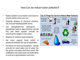 WATER POLLUTION AND EFEFCT ON ENVIRONMENT.pptx