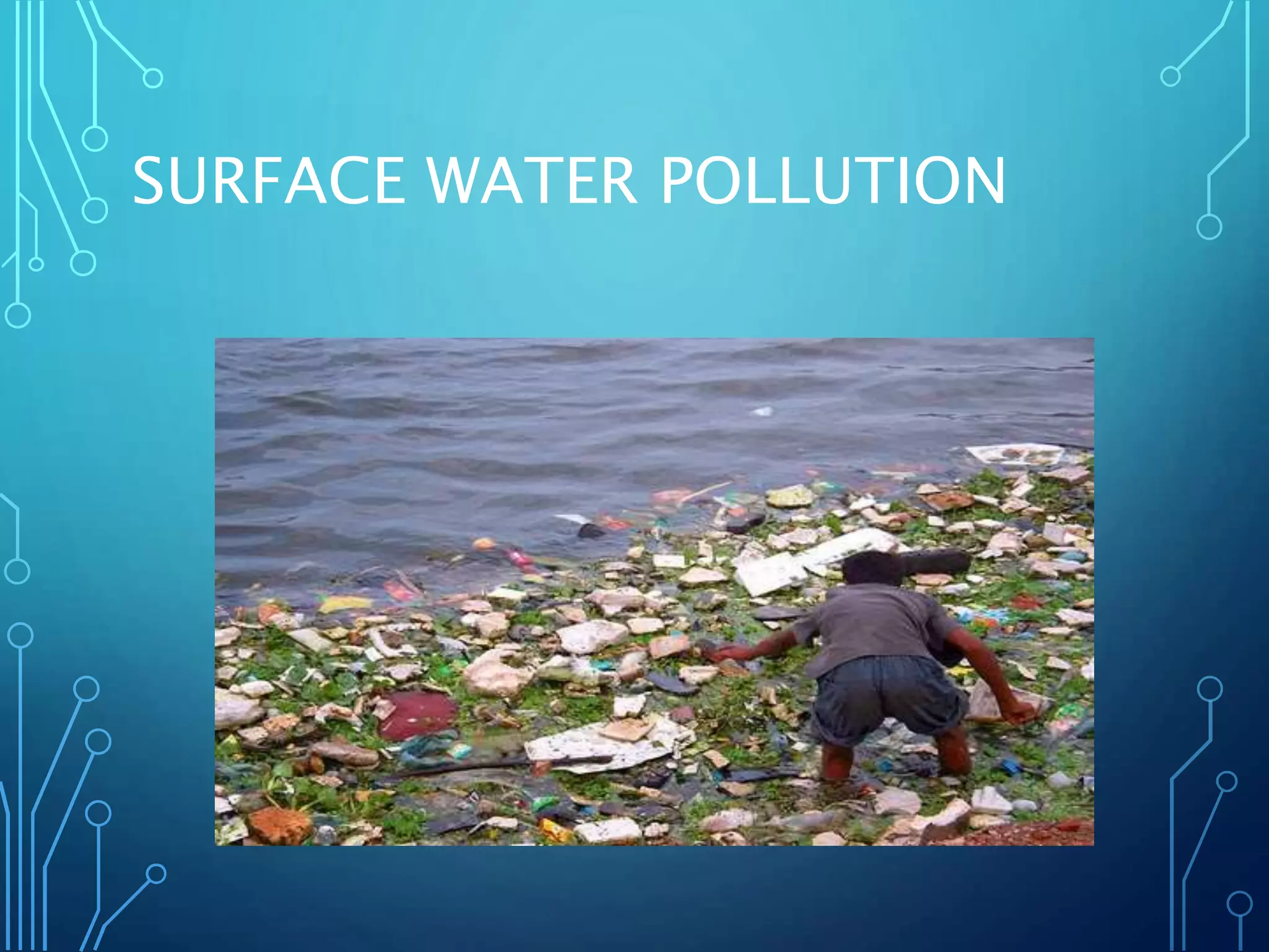 Water pollution and its effect on animal health | PPTX