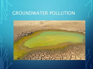 Water pollution and its effect on animal health | PPTX