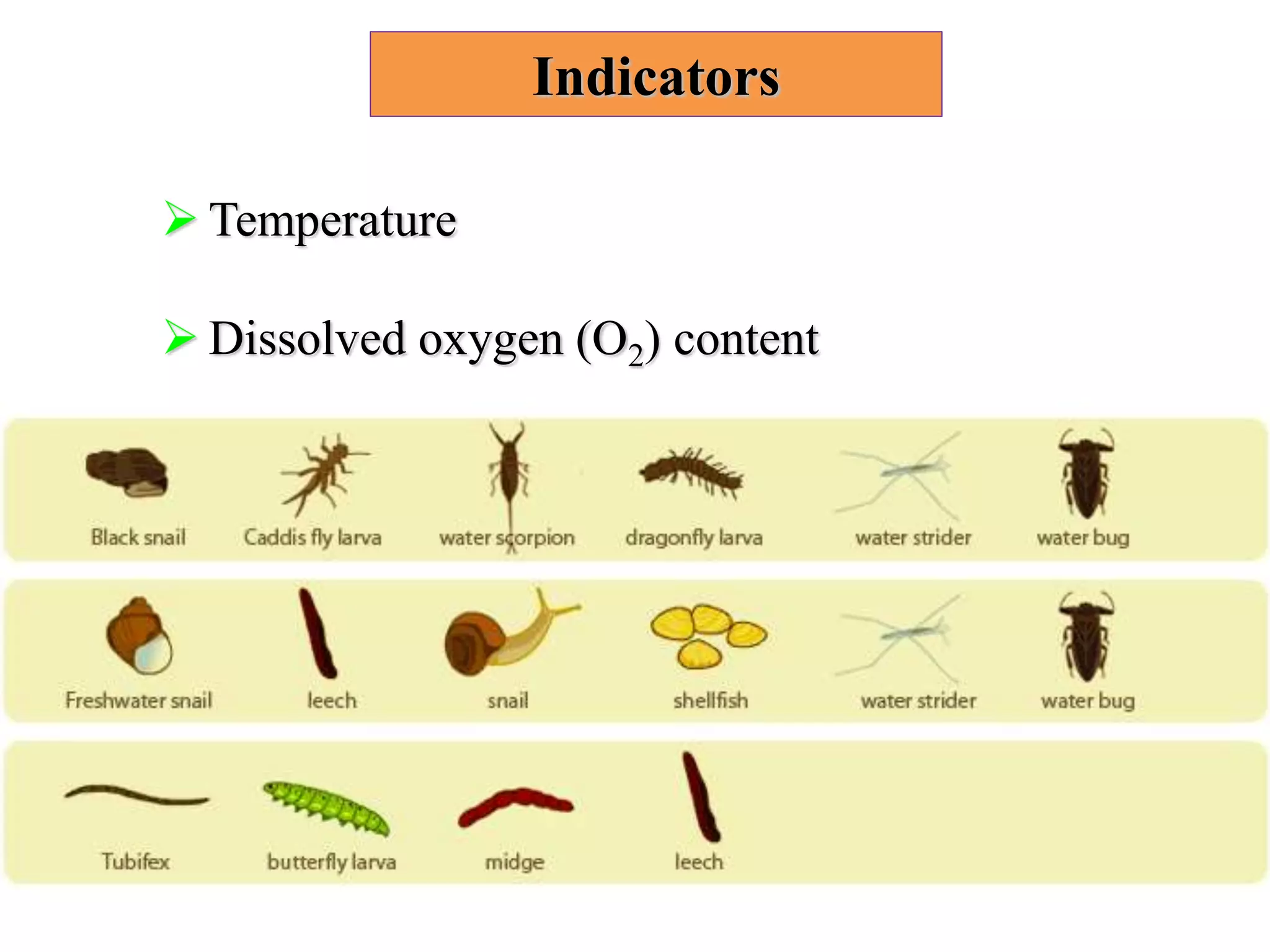 Water pollution and its management ppt | PPTX