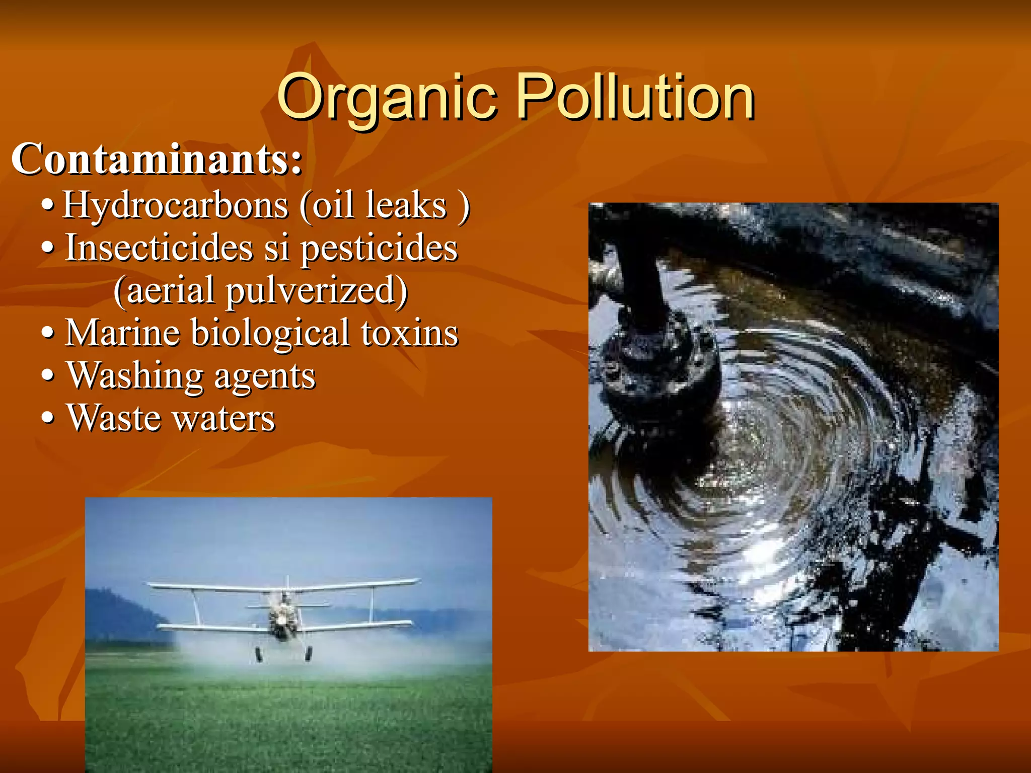 Water pollution and plants | PPT
