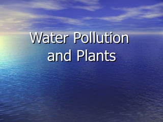 Water pollution and plants | PPT