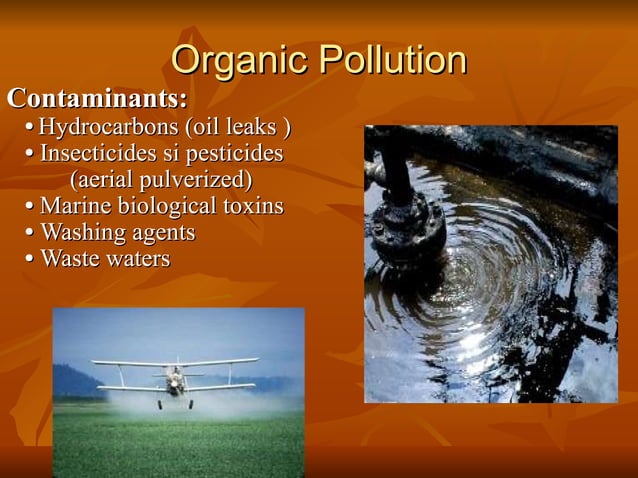 Water pollution and plants | PPT