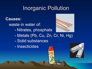 Water pollution and plants | PPT