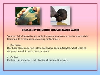 Water pollution and their effects on the society | PPT