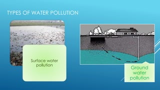 Water pollution and toxicology | PPT