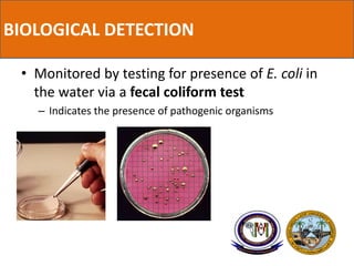 Water pollution and treatment pdf | PDF