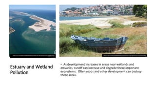 Water pollution: what could possibly go wrong? | PPT