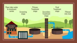 Water pollution, causes, effects & Treatments | PPTX