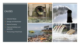 Water pollution, causes, effects & Treatments | PPTX