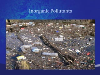 Inorganic Water Pollution
