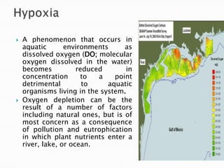 Water pollution & control by Muhammad Fahad Ansari 12IEEM14 | PPTX