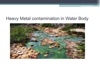 Water pollution due to heavy metals, pesticides | PPTX