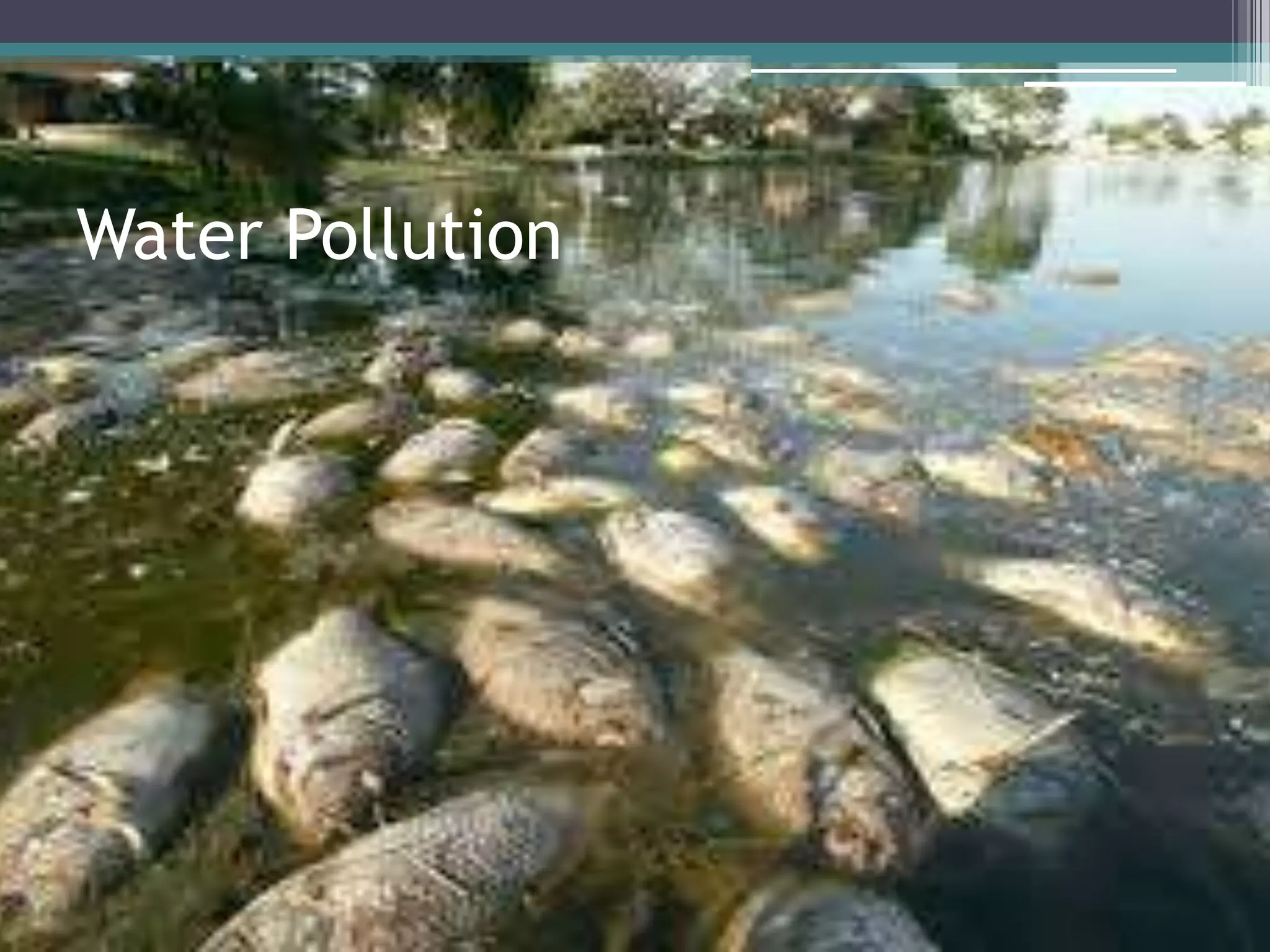 Water pollution due to heavy metals, pesticides | PPTX